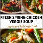 Best Spring Chicken Broth Veggie Soup with Fresh Seasonal Flavor